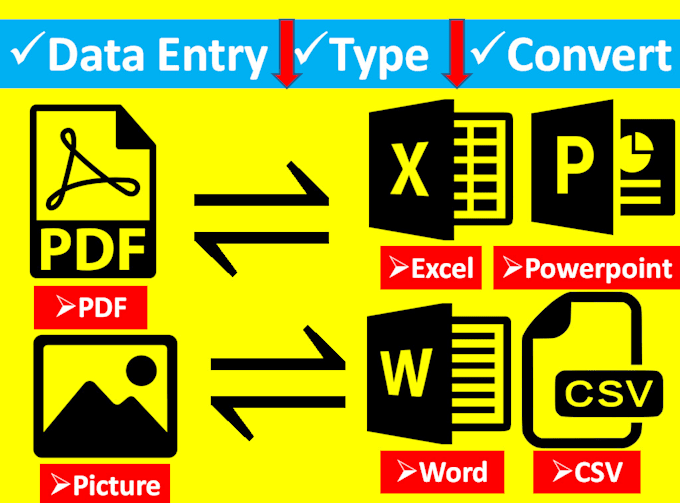 Do data entry,convert pdf or picture to excel,word,powerpoint,csv by ...