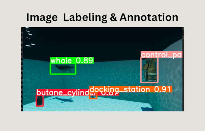 Label images and do image annotation for you with roboflow by Aduragbemiadetu | Fiverr