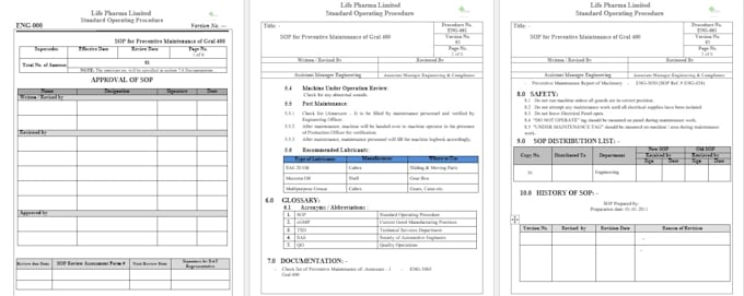 Prepare sops, policies and procedures, equipment manuals, process flows ...