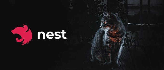 Develop a custom nestjs api by Wixgamer1999 | Fiverr