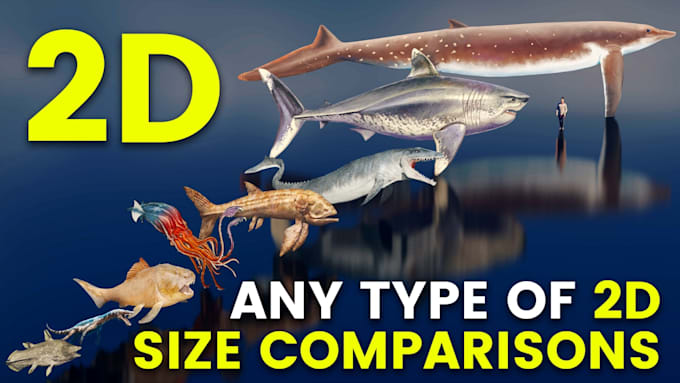 Create viral 2d size comparison video for youtube by Sanjeewaor | Fiverr