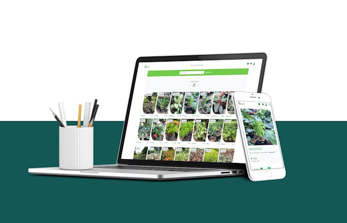 Do Web Development In React Js Javascript And Node Js By Aquasama883 Fiverr