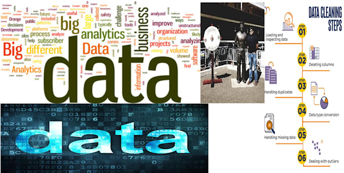 Do data cleaning visualization analysis and data entry by Abhineetsam ...