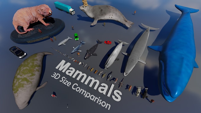 3d animation for size comparison videos for social media by ...