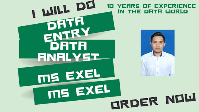 Input data, analyze data, use microsoft excel, and visualize data by ...