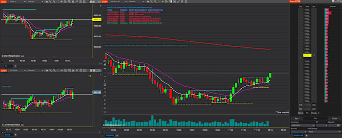 Teach you ninjatrader 8 one on one by Dwaynemullins | Fiverr