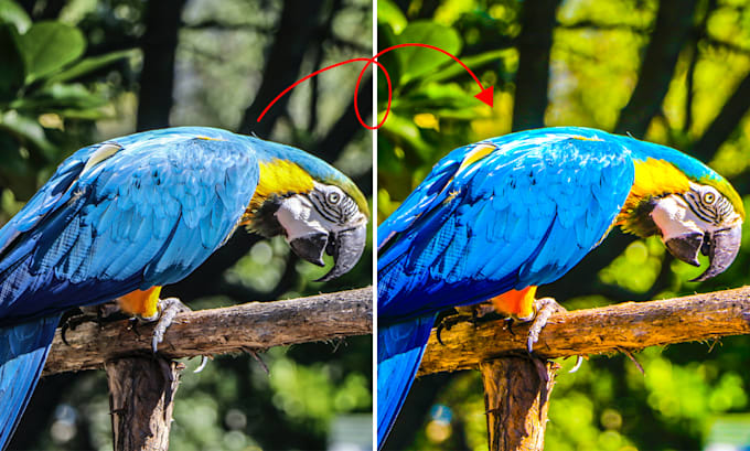 Create custom lightroom preset pack for you by Parbdeisgn | Fiverr