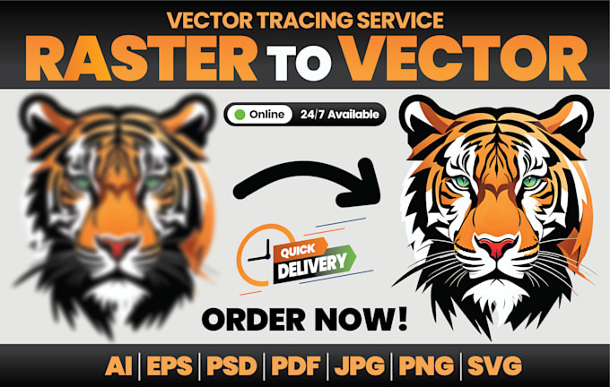 Convert raster logo and images into high resolution vector files by ...