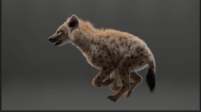 Do 3d cgi animal composting 3d animal model 3d animation 3d bird design ...