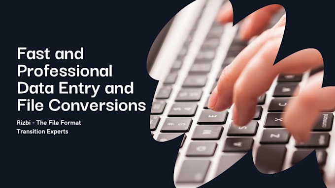 Expert data entry and file conversions by Rizbi12558 | Fiverr
