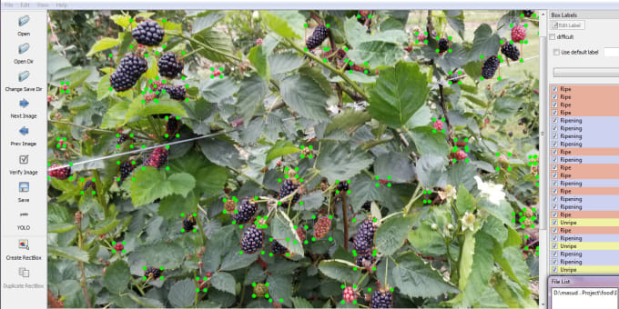 Do data annotation, image annotation, bounding box, data labeling by ... Do data annotation, image annotation, bounding box, data labeling by ...