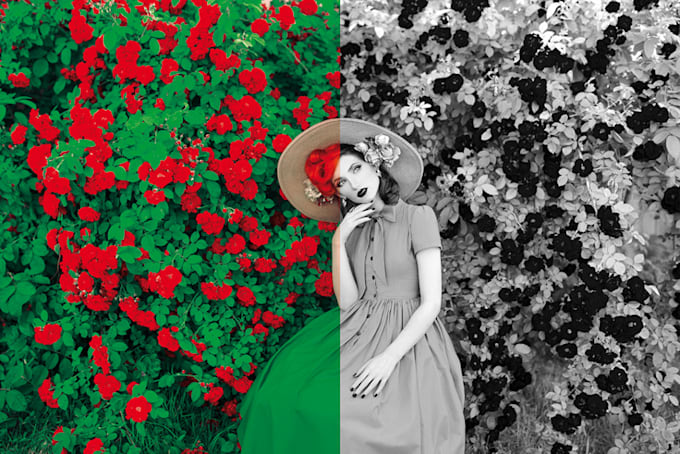 Recolor black and white photos by Lorenzo_natali | Fiverr