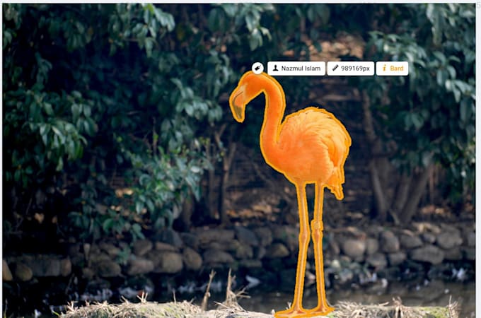 Do custom data annotation, bounding box, polygon,bitmap, keypoint ...