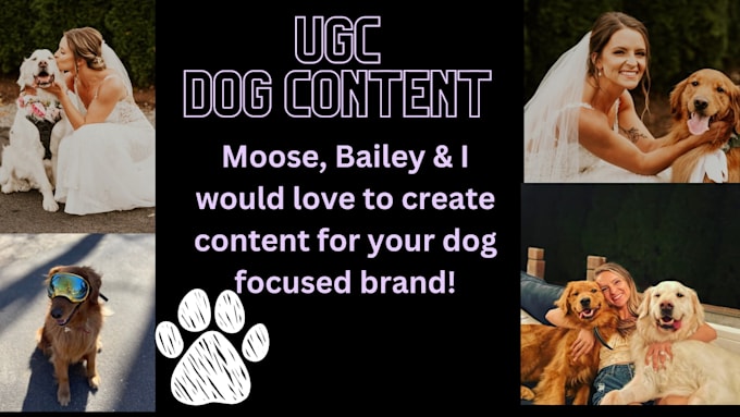 Create ugc content for pet products with 2 golden retrievers by Sdelair | Fiverr