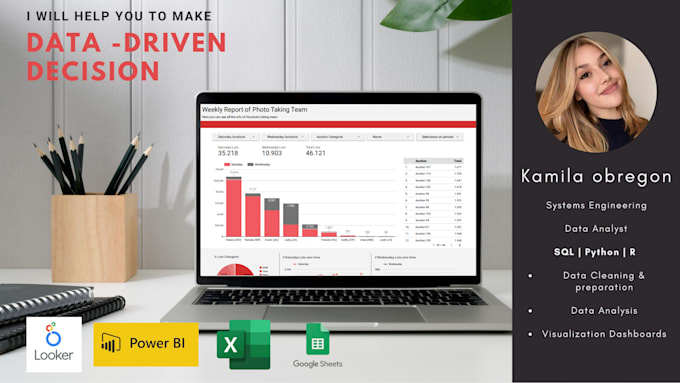 Be your data analyst and create interactive dashboards by Kobregon | Fiverr
