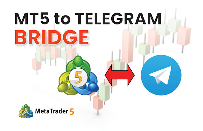 Create a mt5 to telegram bridge by Boolbird | Fiverr