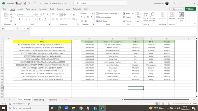 Do data cleaning and formatting by Sushiexcel111 | Fiverr