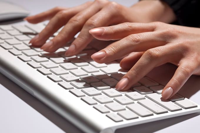 Input, update, and manage your data with precision by Megangreist | Fiverr