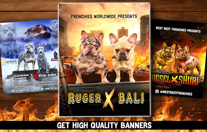 Design a premium dog stud, dog show or breeding kennel flyer by ...