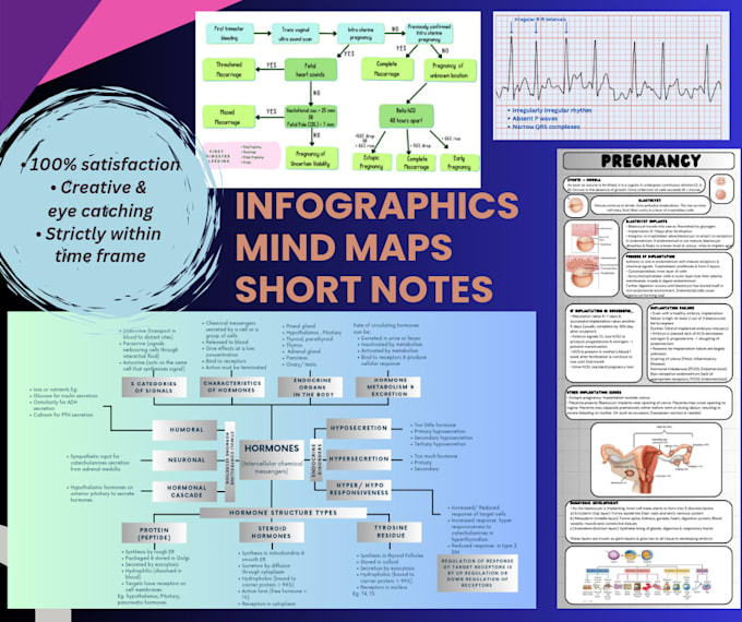 Design customized mind maps or infographics within 24 hours by ...