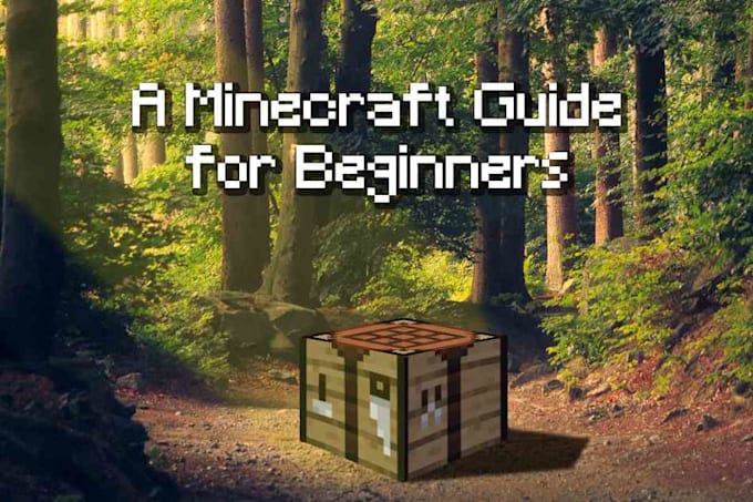 Teach minecraft and guide minecraft beginners by Fs_sanim | Fiverr