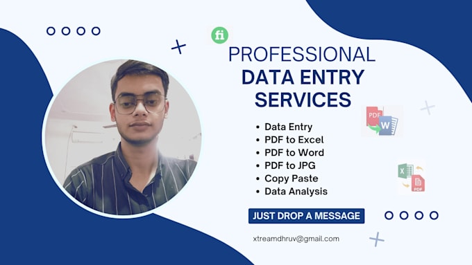 Do pdf to excel, word, and google sheets, data entry by Dhruvgupta7447 | Fiverr