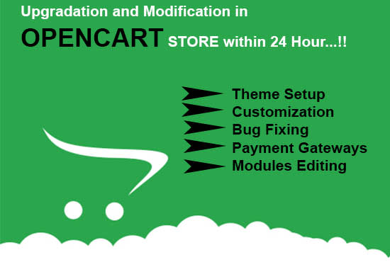 Install Upgrade Fix Errors And Bugs In Opencart Website By Saqibmahay