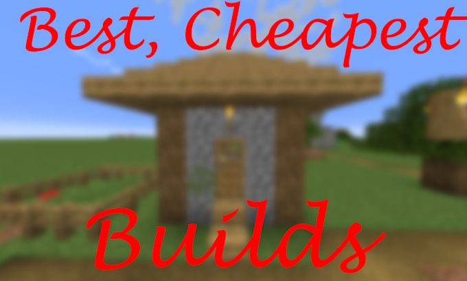 Build anything you want in minecraft by Radumaster | Fiverr