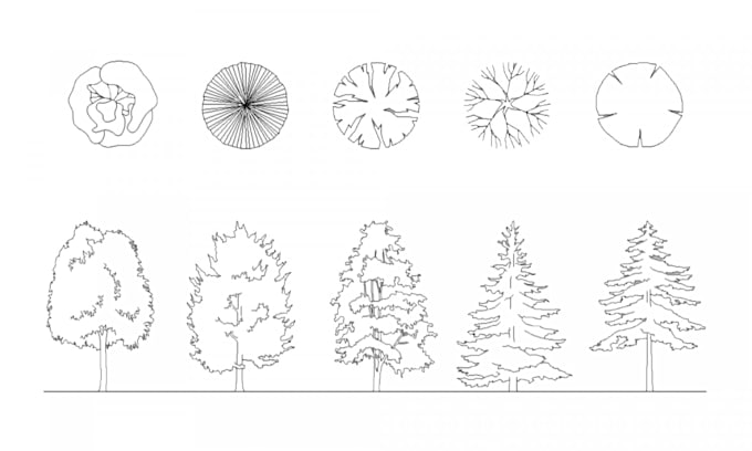 Create any trees shrubs palms revit families by Mohamedhussi157 | Fiverr