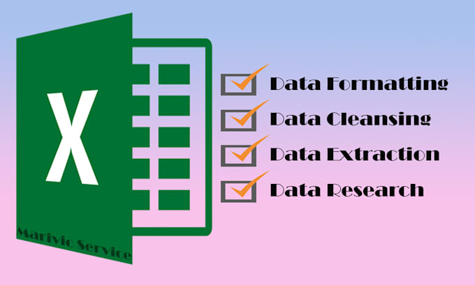 Do data extraction, formatting cleaning and research by Mmaghacot | Fiverr