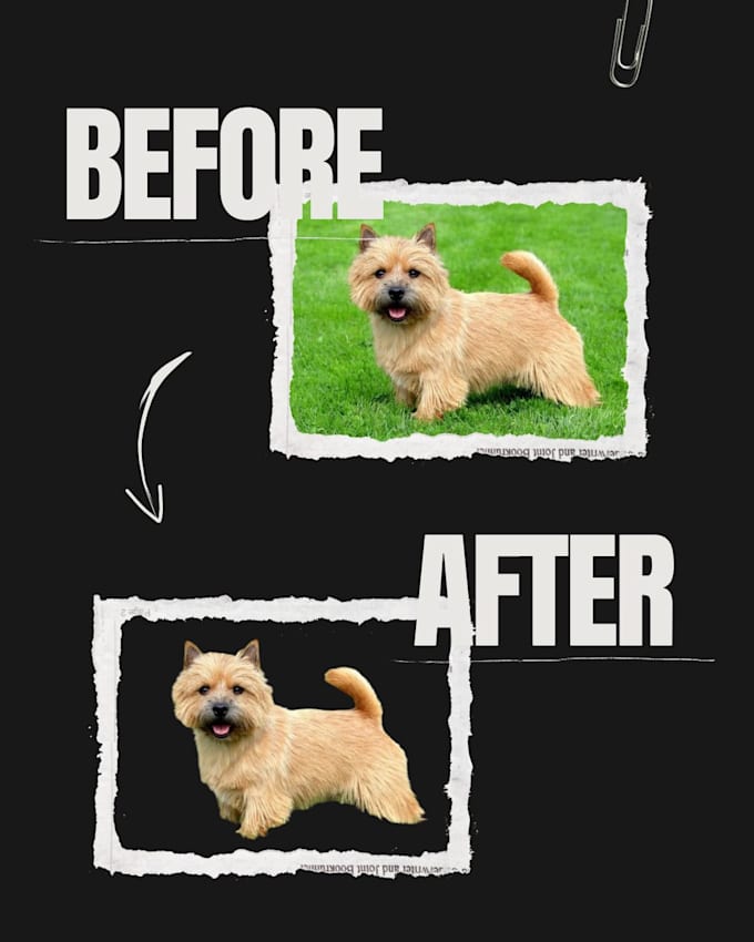 Expertly edit and remove backgrounds by Gennadiyg | Fiverr