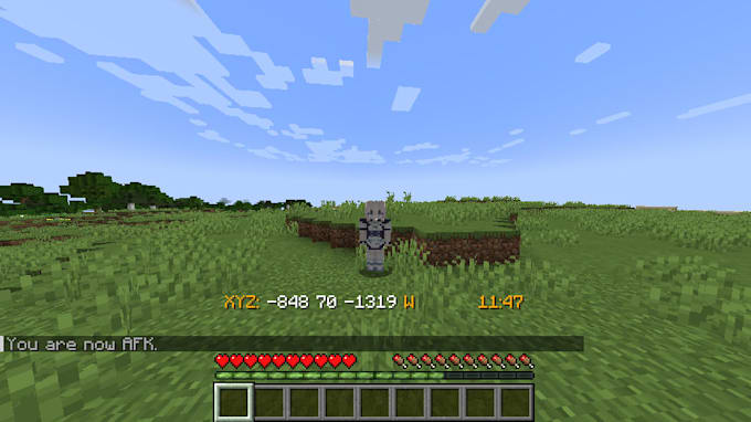 Create a simple minecraft server by Vydra12 | Fiverr