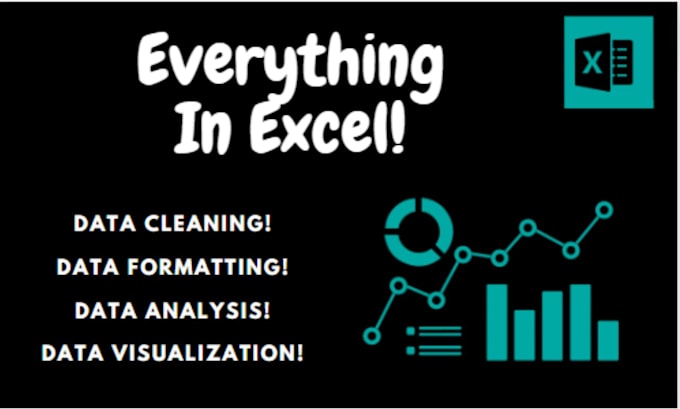 Provide data cleaning,data analysis, visualization,error fixing, macros ...