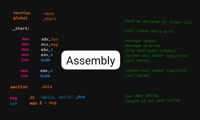 Do masm, nasm, tasm x86 assembly language programming by Ashaq555 | Fiverr