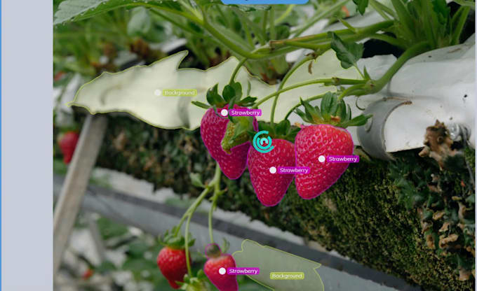 Do data annotation, image annotation, bounding box, object detection by ... Do data annotation, image annotation, bounding box, object detection by ...