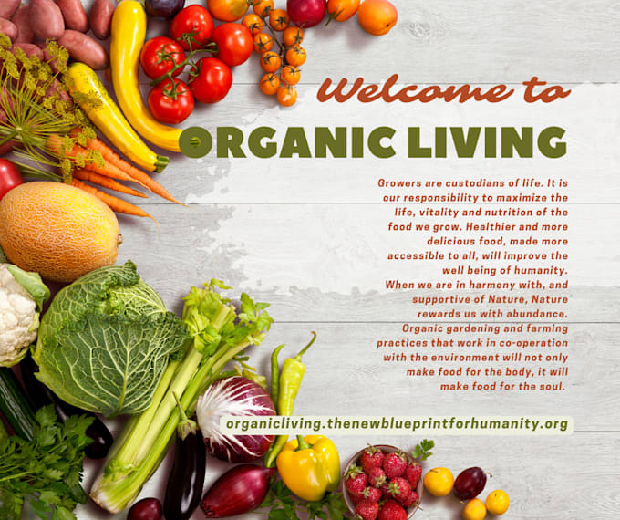 Create memes, posters, videos and flyers by Funbun23 | Fiverr