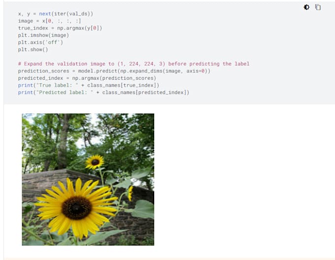 Do data science machine learning and deep learning projects by Shameernaveed01 | Fiverr