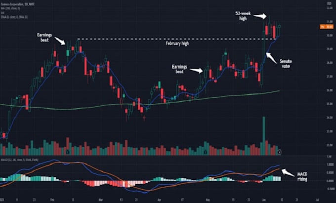 Convert Tradingview Pinescript To Algorithm Trading Robot By Danielmqlcoder Fiverr