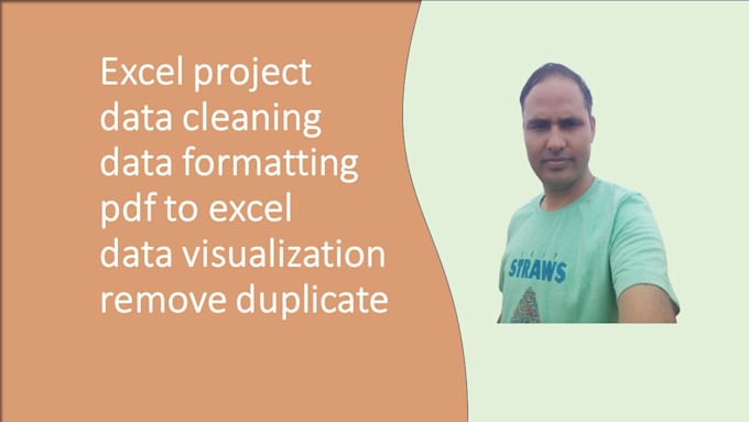 Do data entry, data cleaning, pdf to excel and data visualization on excel by Lokysingh0204 | Fiverr