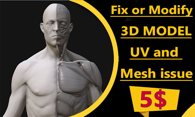 Fix issues of 3d models, uv mapping or change the colors of 3d model ...