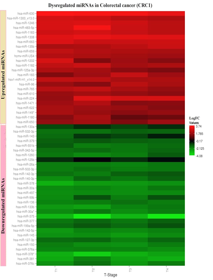 Do bioinformatics data analysis by Tabishnasim | Fiverr Do bioinformatics data analysis by Tabishnasim | Fiverr