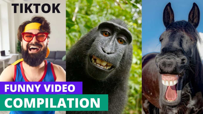 Create monetizable funny viral videos for youtube tiktok fb by ...