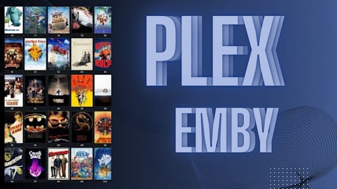 Configurer, installer et réparer votre plex, et structurer vos données ...