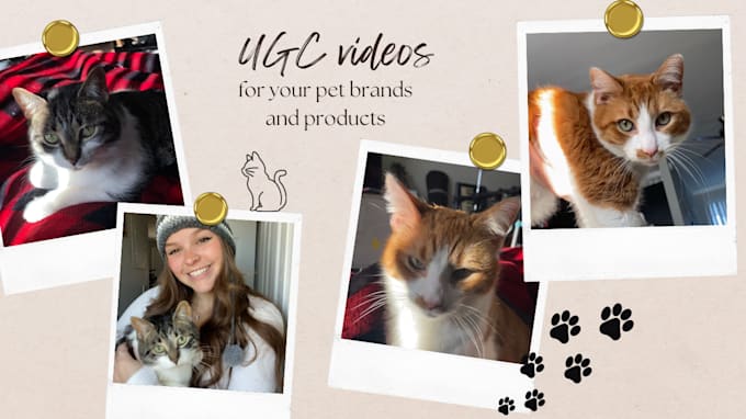 Create ugc for your cat products or cat brand by Digitallymorgan | Fiverr