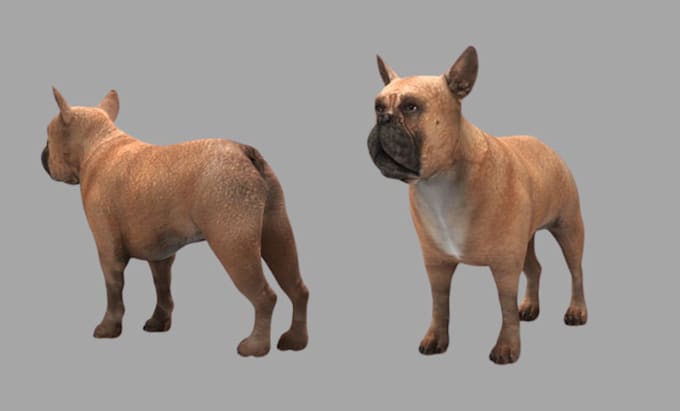 Create 3d models of dogs, animal model, pet figures, realistic animal ...