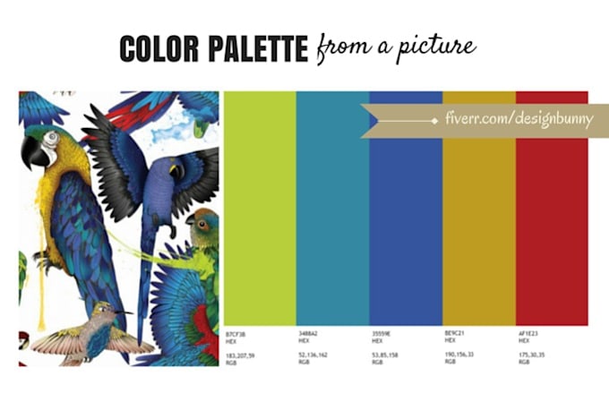 Create a color palette from a picture by Designbunny | Fiverr
