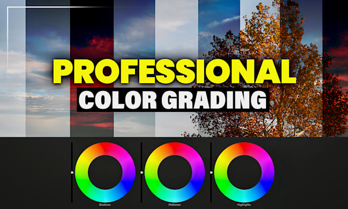 Do color grading and color correction by Benny7333 | Fiverr