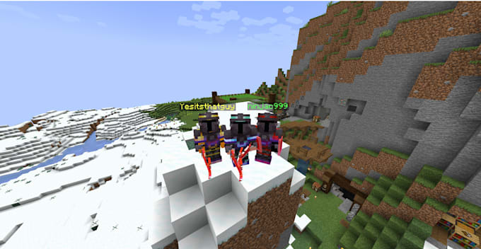 Make you a cit minecraft optifine resource pack by Rohohol | Fiverr