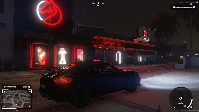 Develop or send you a complete fivem esx server by Legacy5m | Fiverr