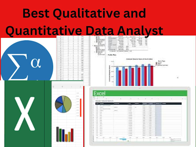Do qualitative and quantitative data analysis by Lachelle_shara | Fiverr